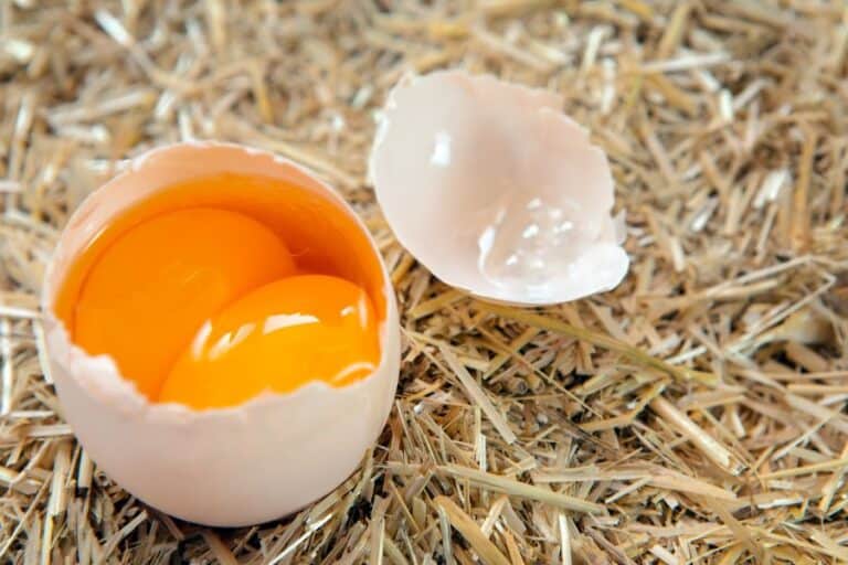 What Are Double Yolk Eggs? Causes & Safety
