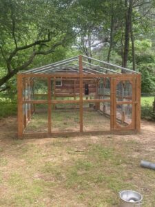 20 Unique Chicken Run Ideas for Your Flock