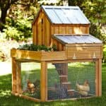 20 Unique Chicken Run Ideas for Your Flock