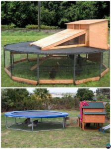 20 Unique Chicken Run Ideas for Your Flock