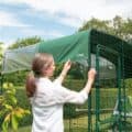 20 Unique Chicken Run Ideas for Your Flock