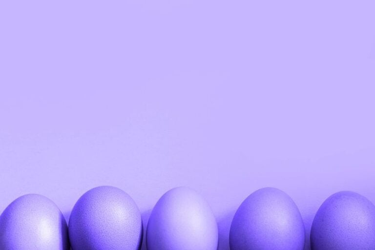 Chickens that Lay Purple Eggs: Is It Possible?