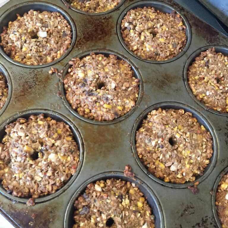 15+ Easy and Fun DIY Chicken Toys - The Everyday Mom Life