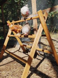 15+ Easy and Fun DIY Chicken Toys - The Everyday Mom Life