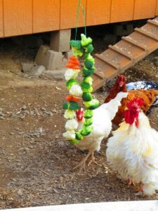 15+ Easy and Fun DIY Chicken Toys - The Everyday Mom Life