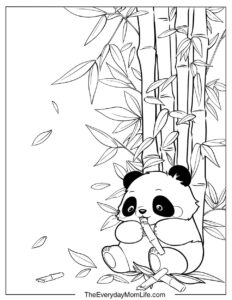 Panda Coloring Pages for Kids (Free PDF)