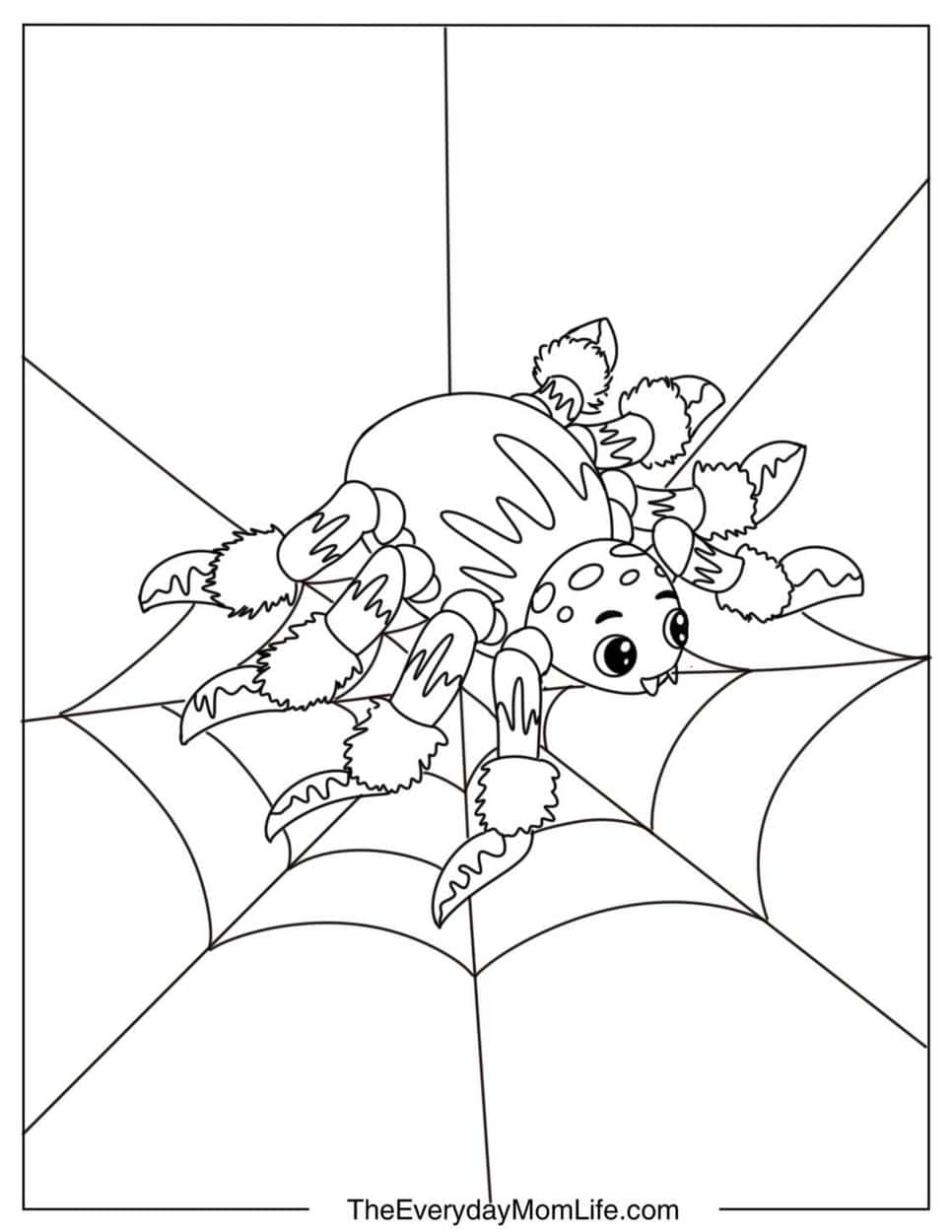 Free PDF Spider Coloring Pages