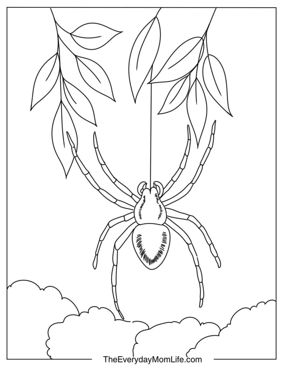 Free PDF Spider Coloring Pages