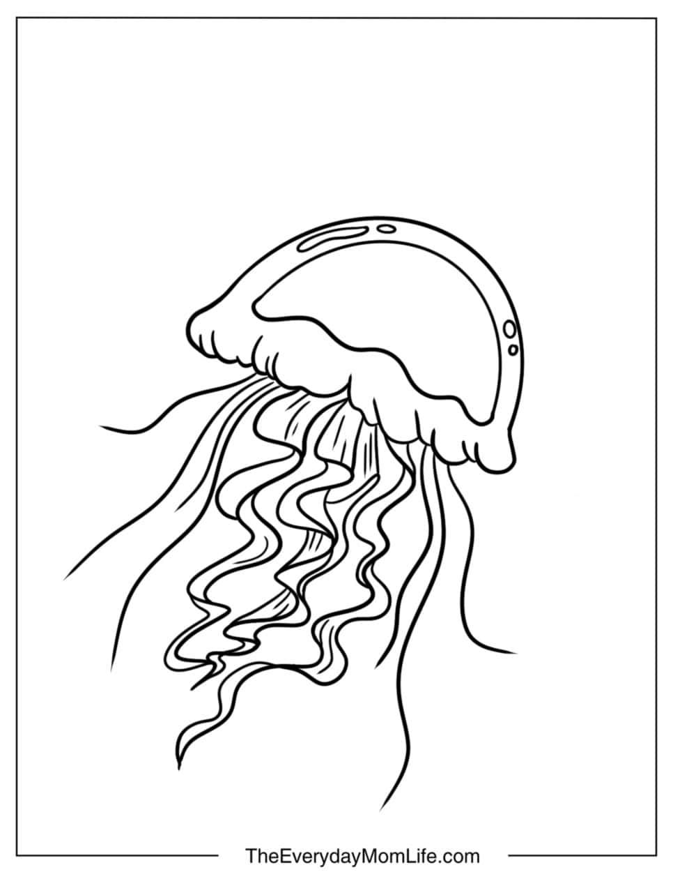 PDF Printable Jellyfish Coloring Pages - The Everyday Mom Life