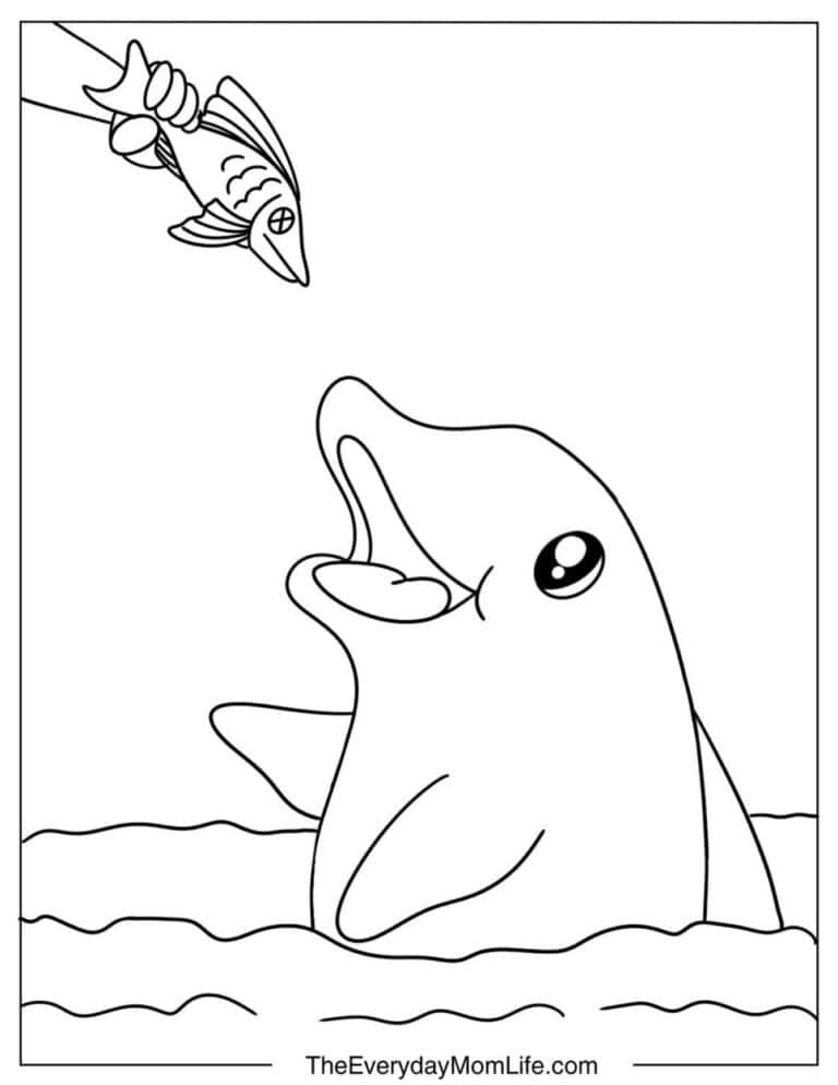 Free Printable Dolphin Coloring Pages