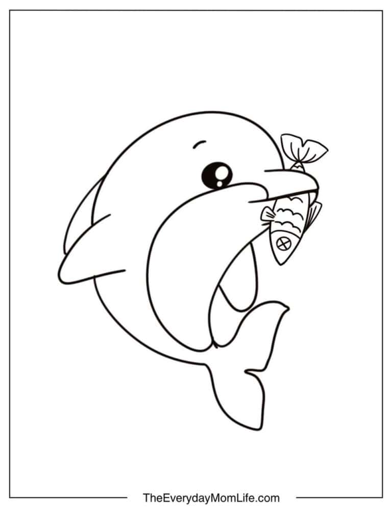 Free Printable Dolphin Coloring Pages