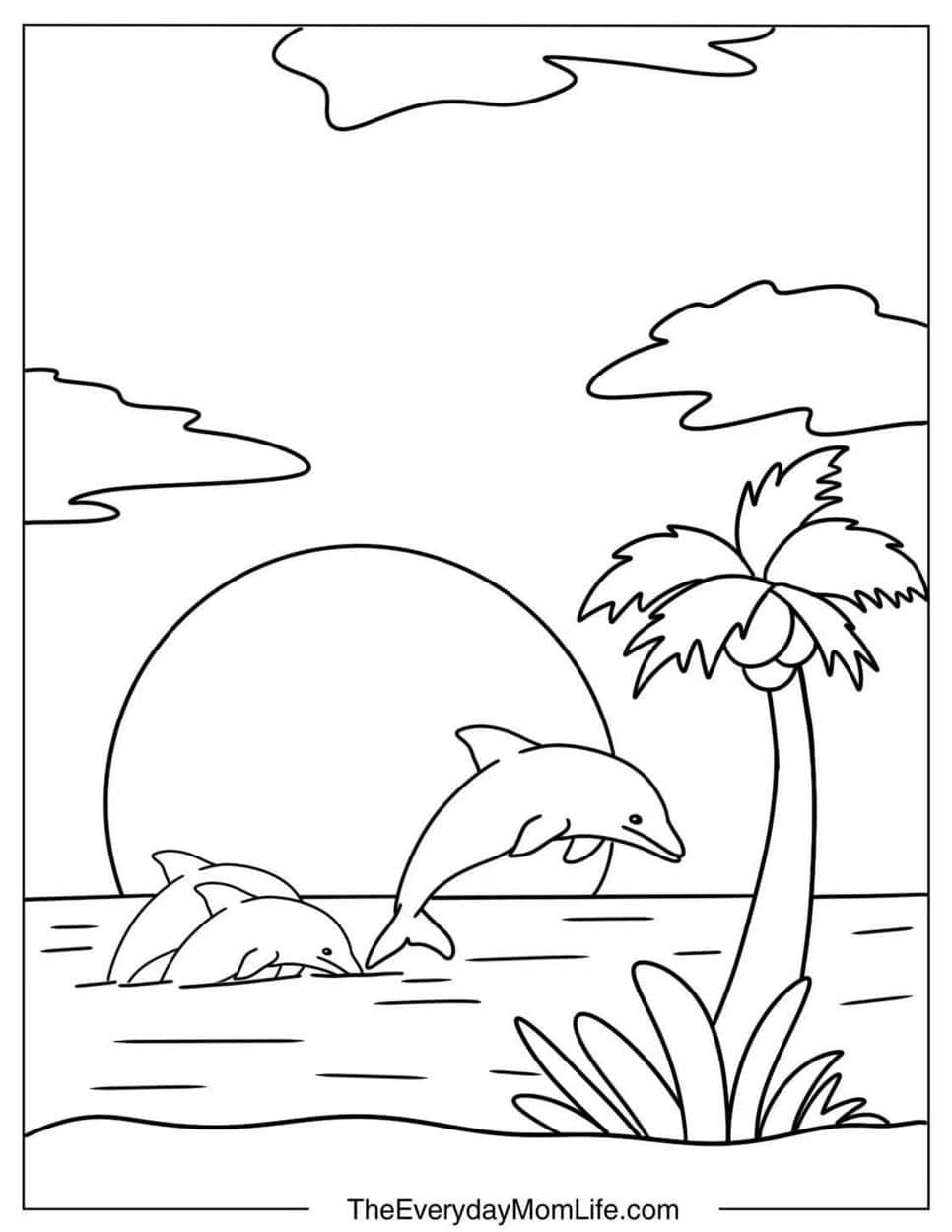 Free Printable Dolphin Coloring Pages