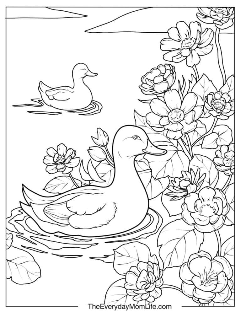 PDF Printable Duck Coloring Pages - The Everyday Mom Life