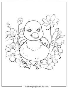 PDF Printable Duck Coloring Pages - The Everyday Mom Life
