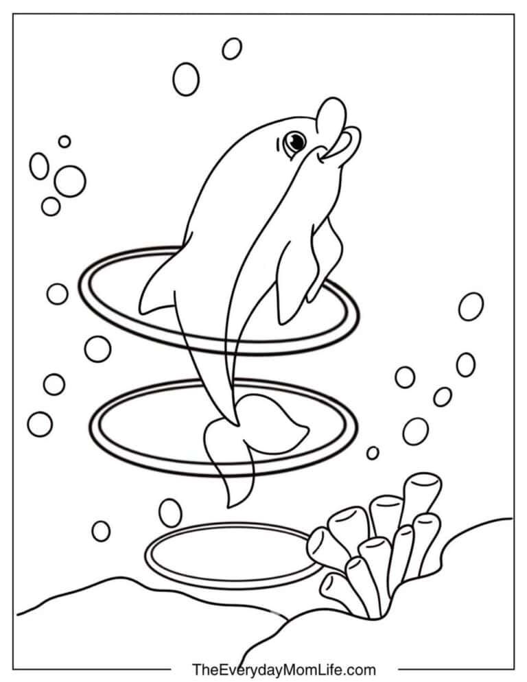 Free Printable Dolphin Coloring Pages