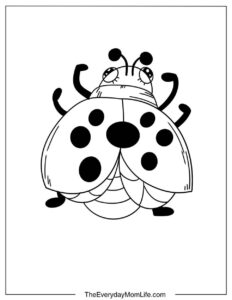 Ladybug Coloring Pages for Kids (Free PDF)