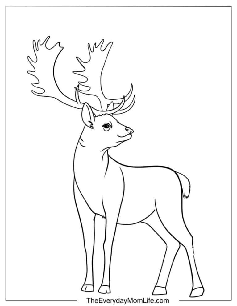 Free Printable PDF Deer Coloring Pages