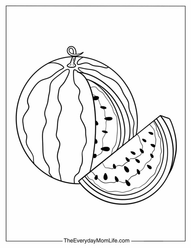 Watermelon Coloring Pages for Kids (Free PDF)