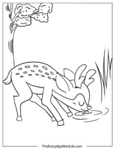 Free Printable PDF Deer Coloring Pages