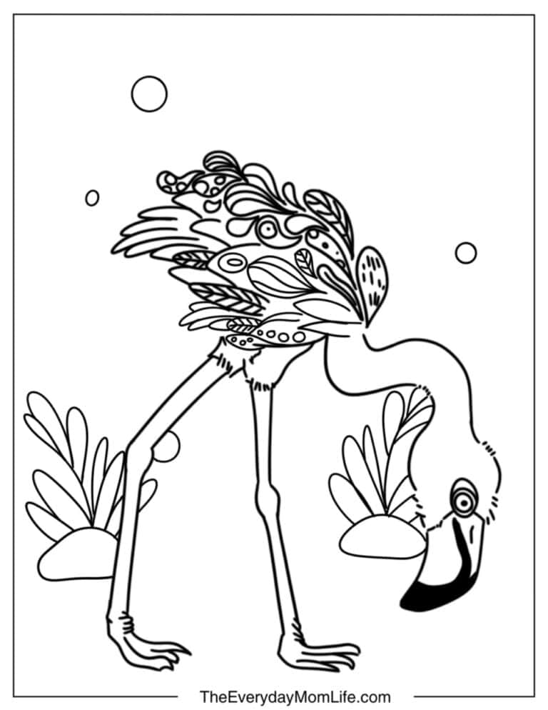 PDF Printable Flamingo Coloring Pages