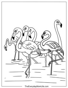 PDF Printable Flamingo Coloring Pages