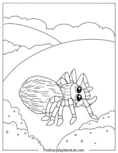 Free PDF Spider Coloring Pages