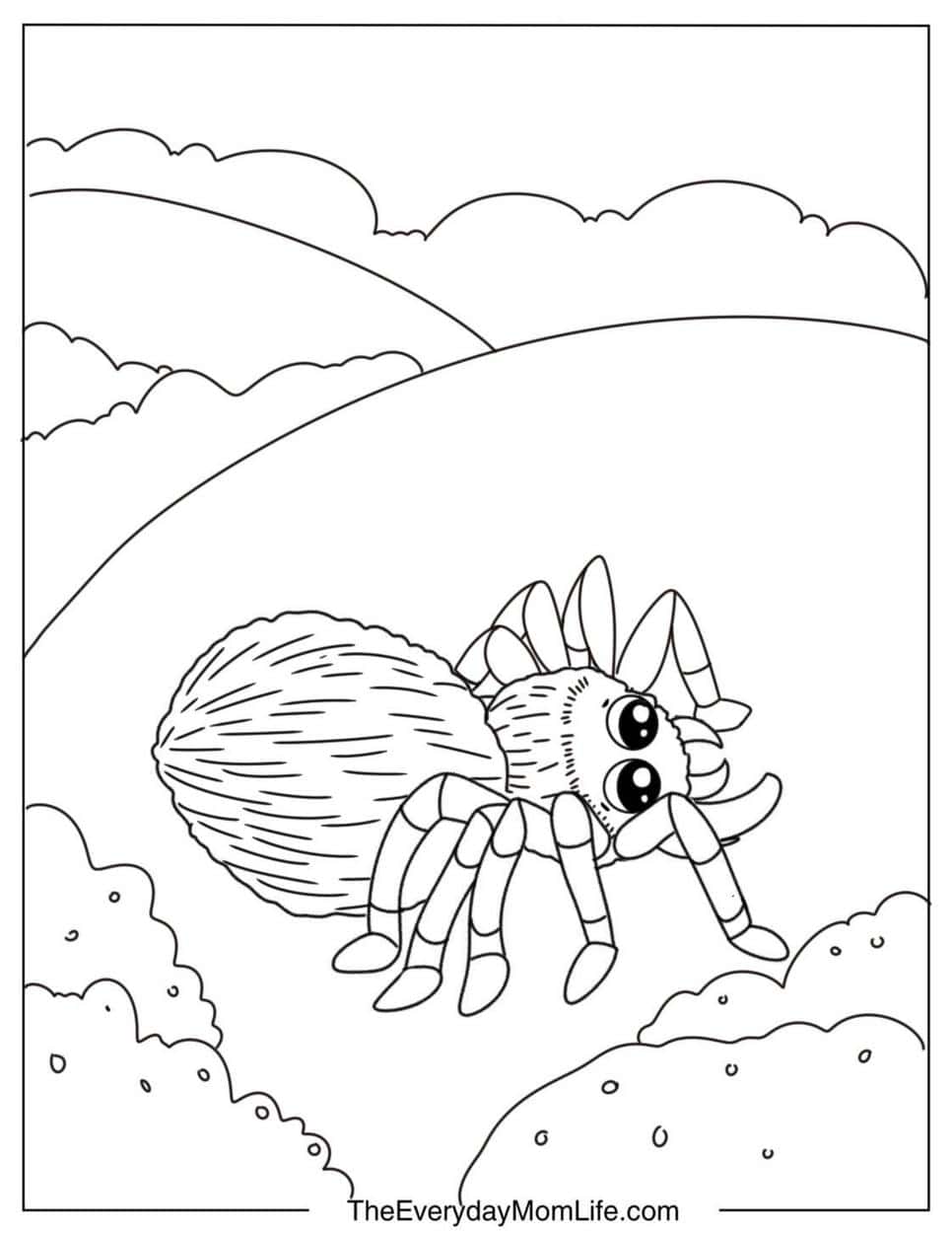 Free PDF Spider Coloring Pages