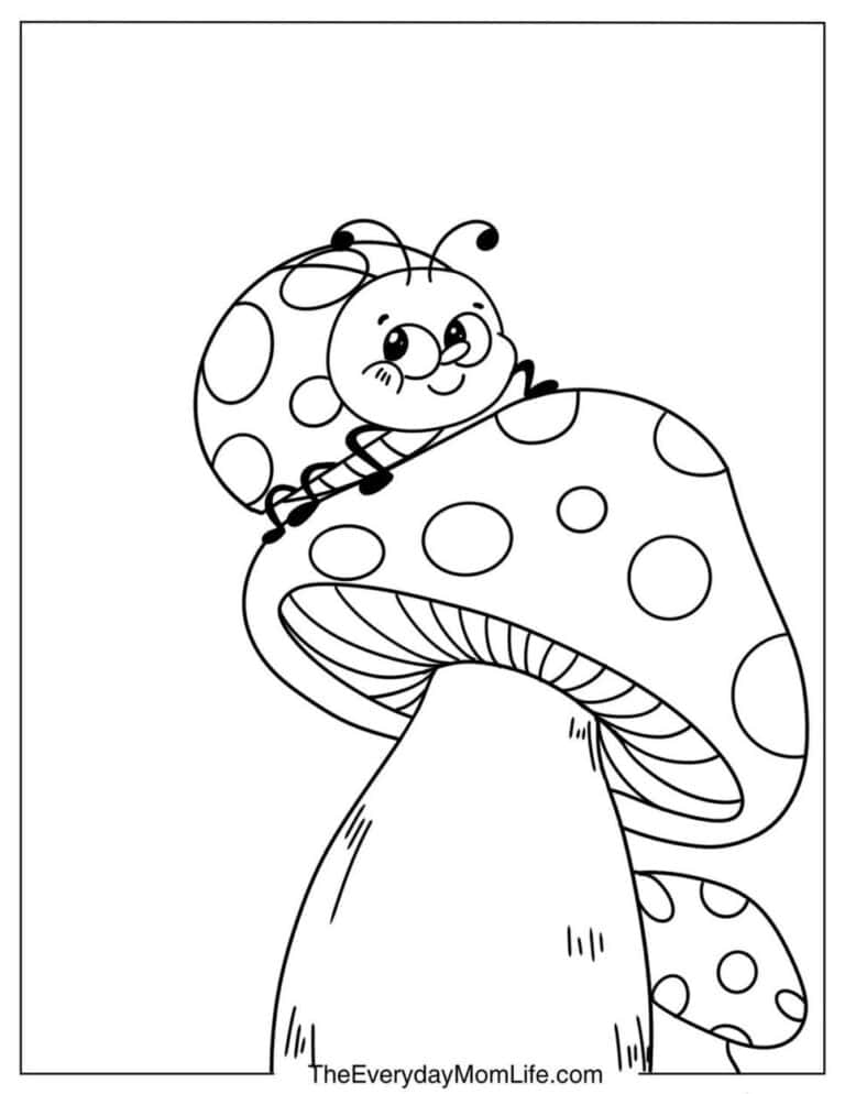 Ladybug Coloring Pages for Kids (Free PDF)