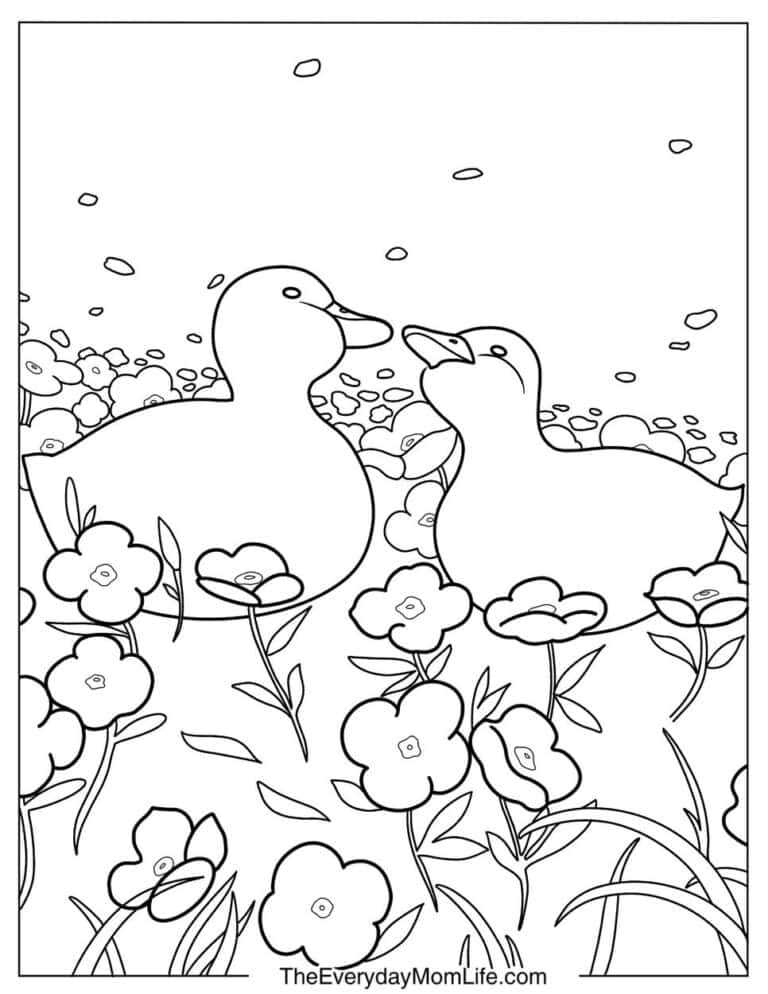 PDF Printable Duck Coloring Pages - The Everyday Mom Life