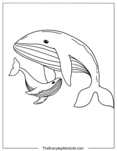 Whale Coloring Pages for Kids (Free PDF)