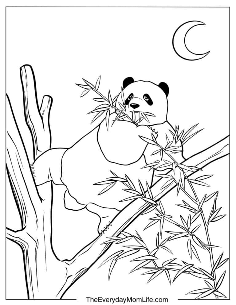 Panda Coloring Pages for Kids (Free PDF)