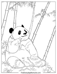 Panda Coloring Pages for Kids (Free PDF)