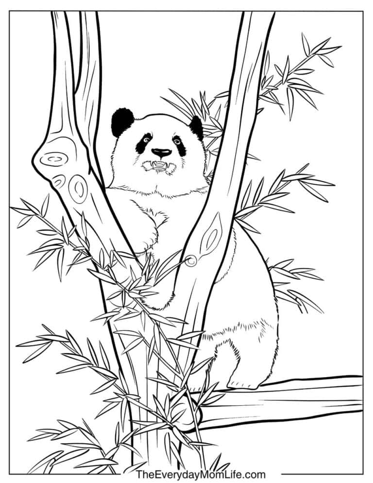 Panda Coloring Pages for Kids (Free PDF)