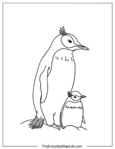 Penguin Coloring Pages For Kids (Free PDF)