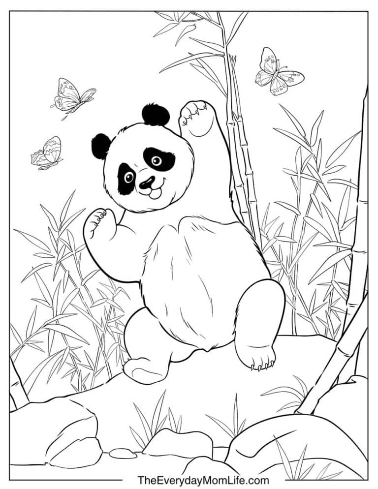 Panda Coloring Pages for Kids (Free PDF)