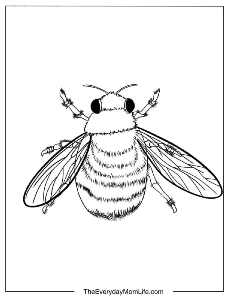 Bee Coloring Page for Kids (Free Printable)