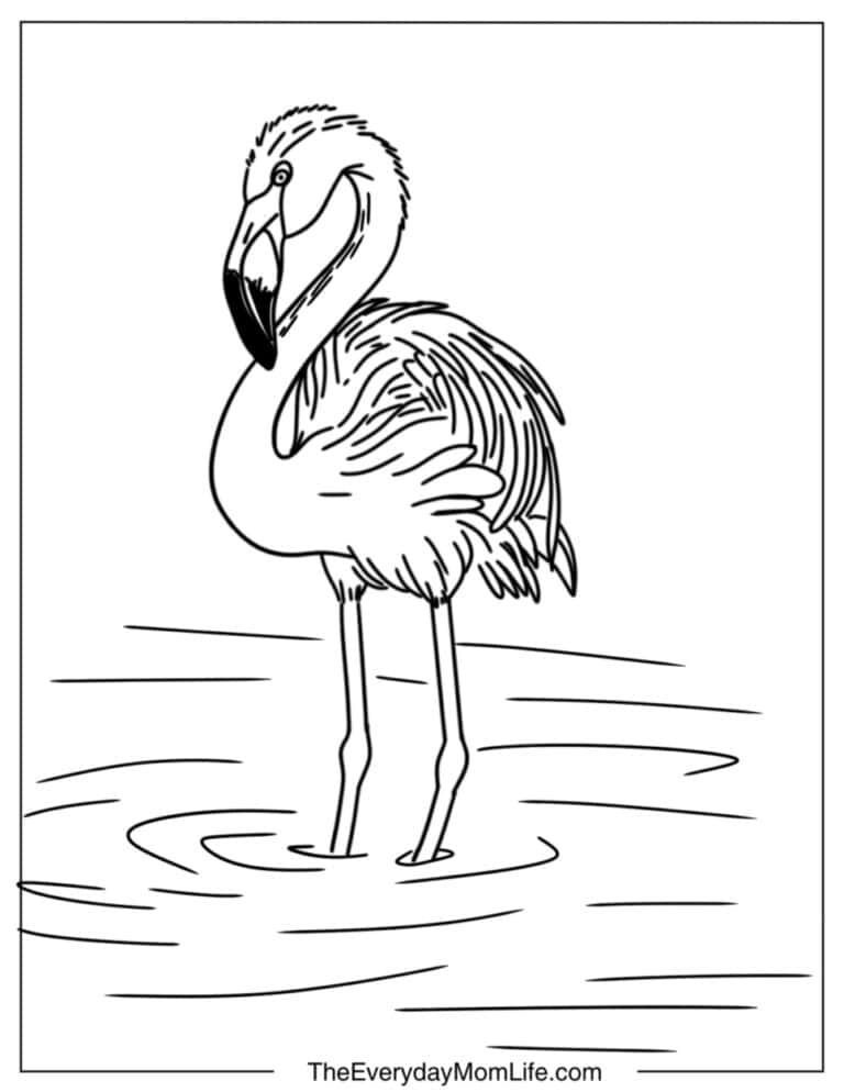 PDF Printable Flamingo Coloring Pages