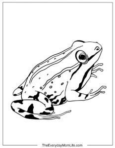 36 PDF Printable Frog Coloring Pages - The Everyday Mom Life