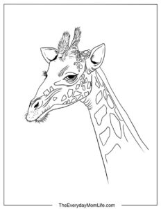 Giraffe Coloring Pages For Kids (Free PDF)