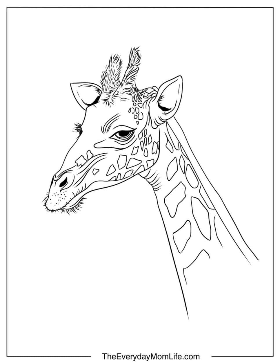 Giraffe Coloring Pages For Kids (Free PDF)