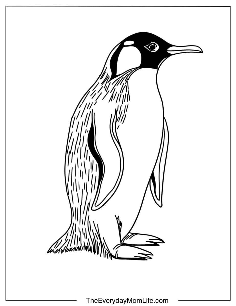 Penguin Coloring Pages For Kids (Free PDF)