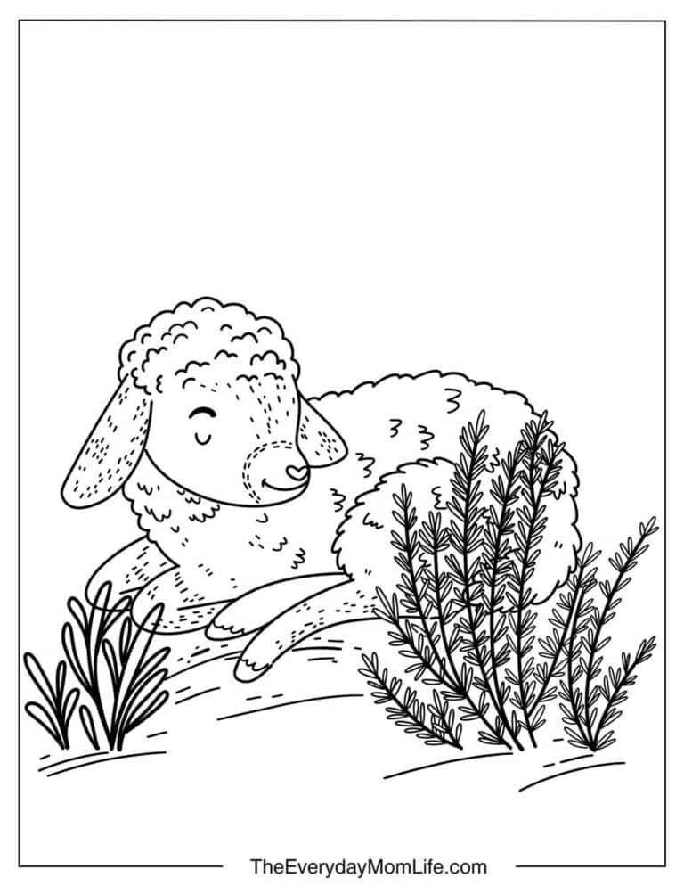 Sheep Coloring Pages for Kids (Free PDF)