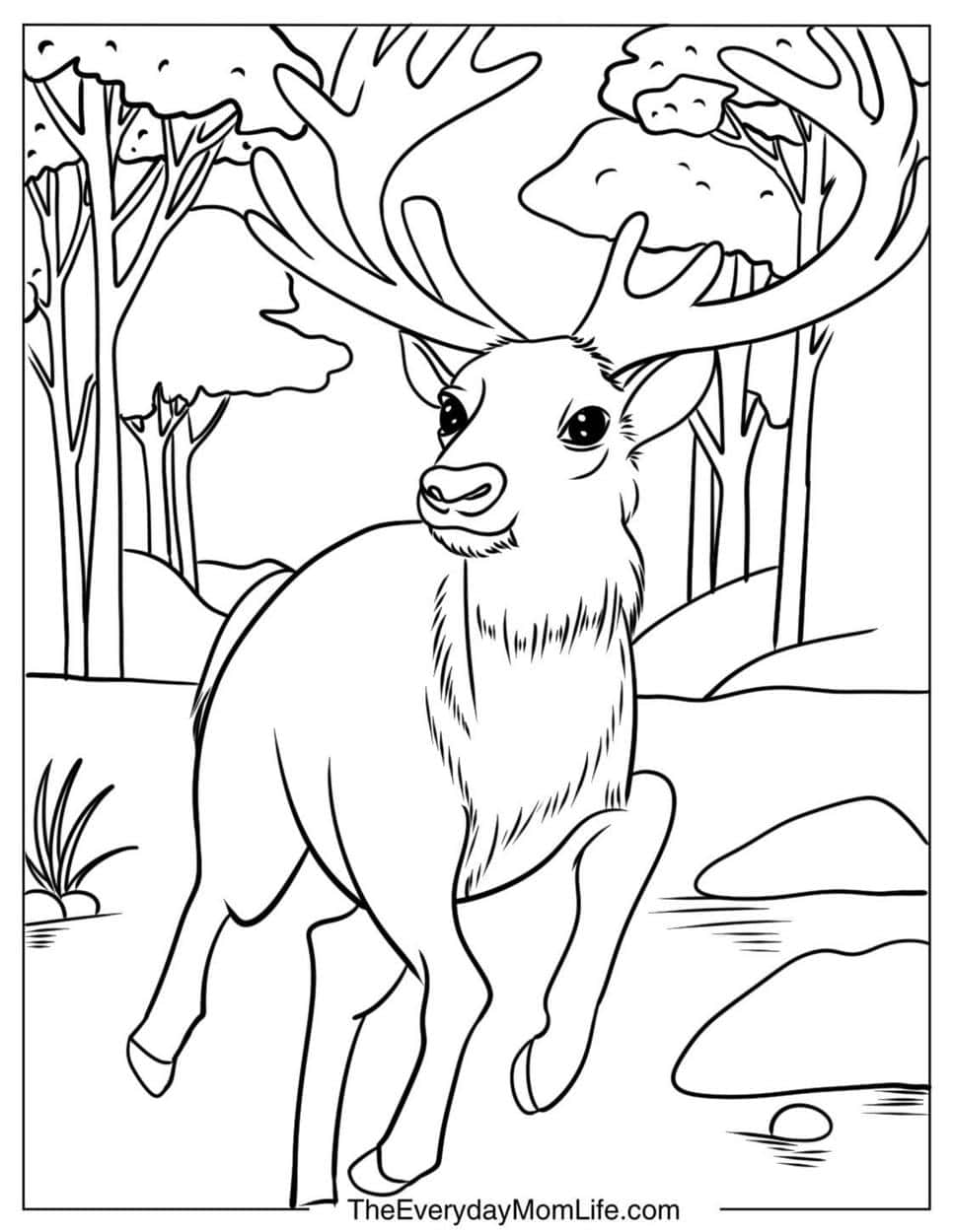 Free Printable PDF Deer Coloring Pages
