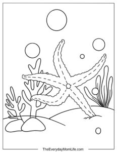 Starfish Coloring Pages for Kids (Free PDF)