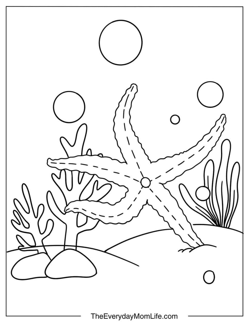 Starfish Coloring Pages for Kids (Free PDF)