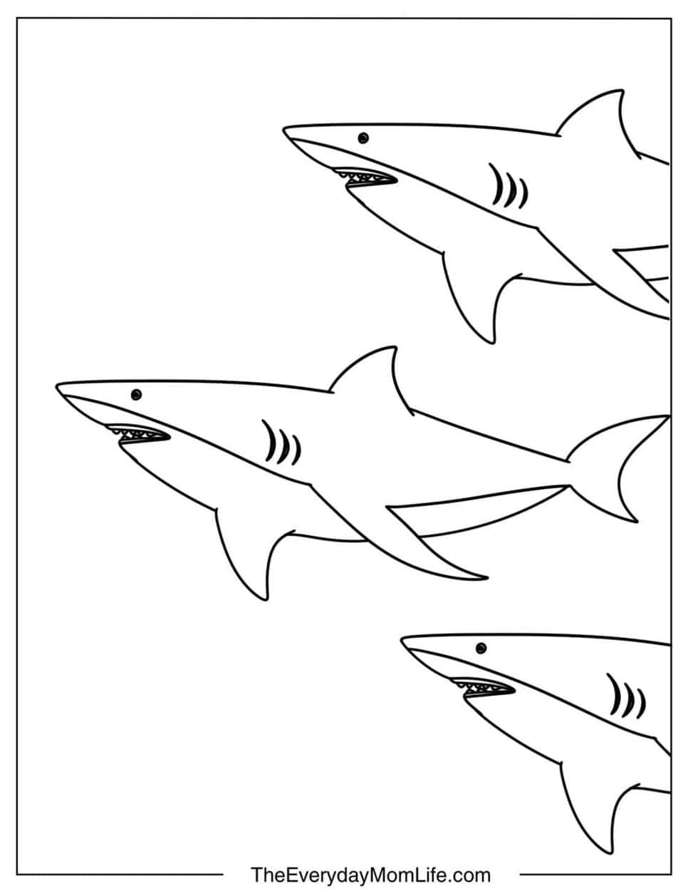 Shark Coloring Pages for Kids (Free PDF)