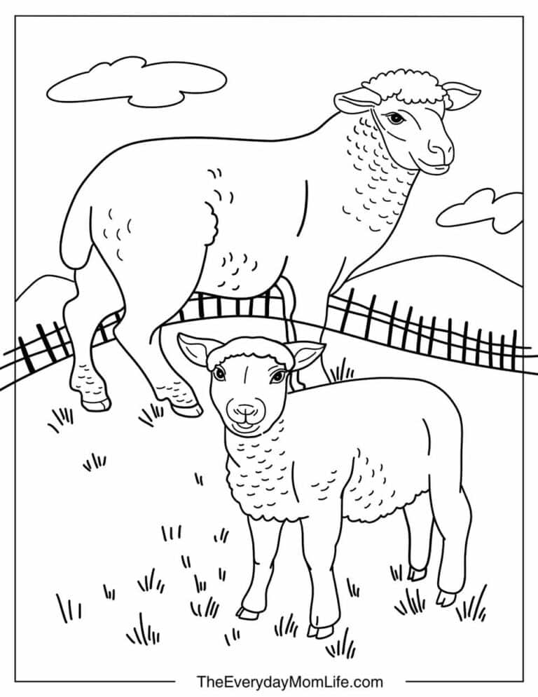 Sheep Coloring Pages for Kids (Free PDF)