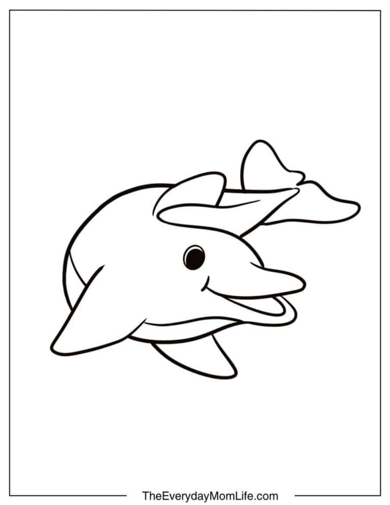 Free Printable Dolphin Coloring Pages