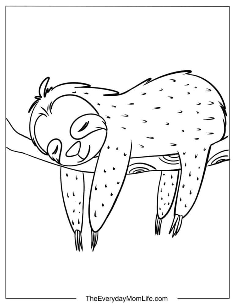 Sloth Coloring Pages For Kids (Free PDF)