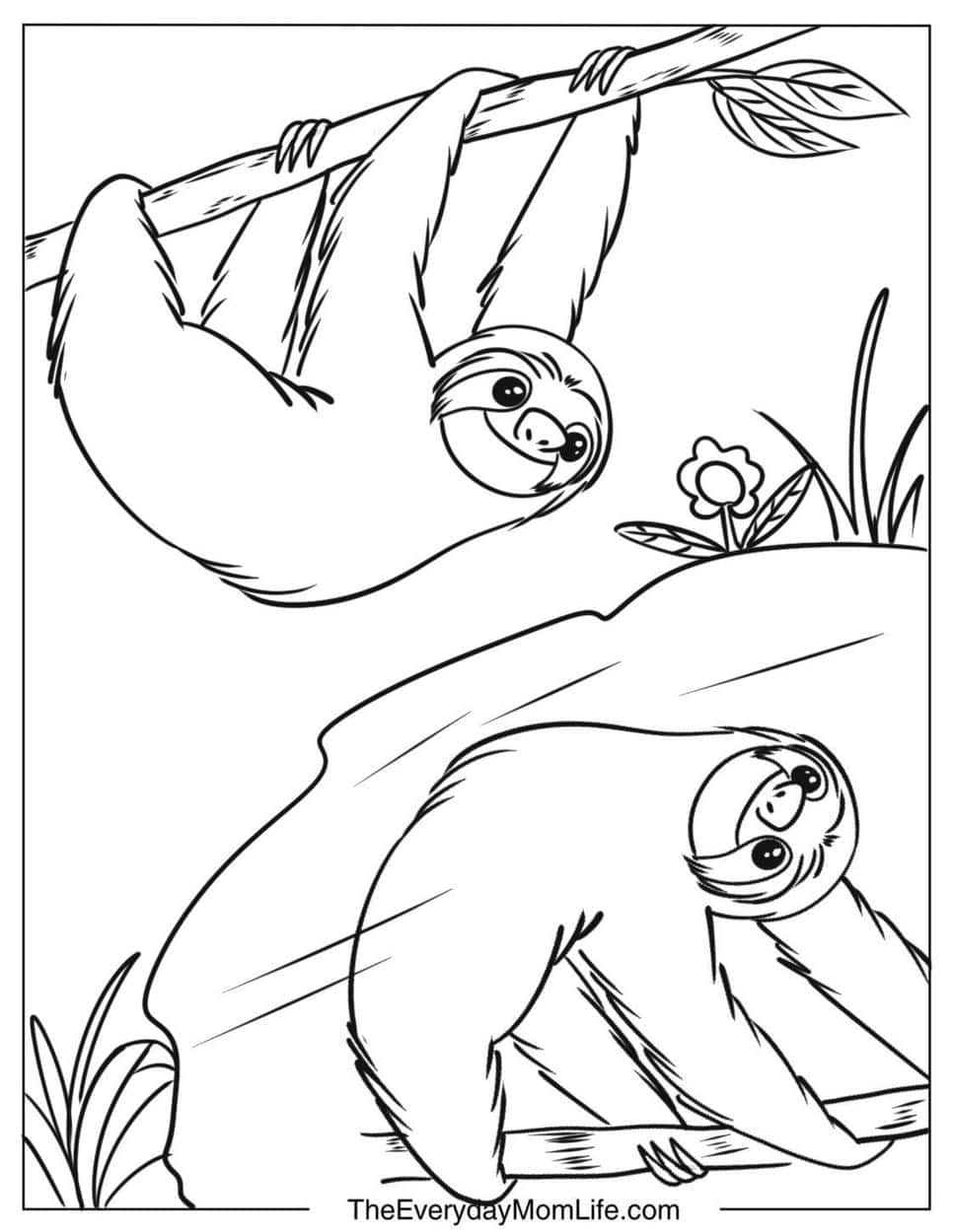 Sloth Coloring Pages For Kids (Free PDF)